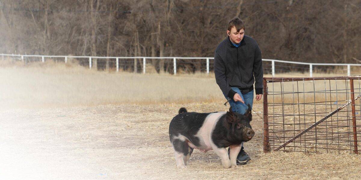 Who we've helped • Boys Ranch, Founded By Cal Farley
